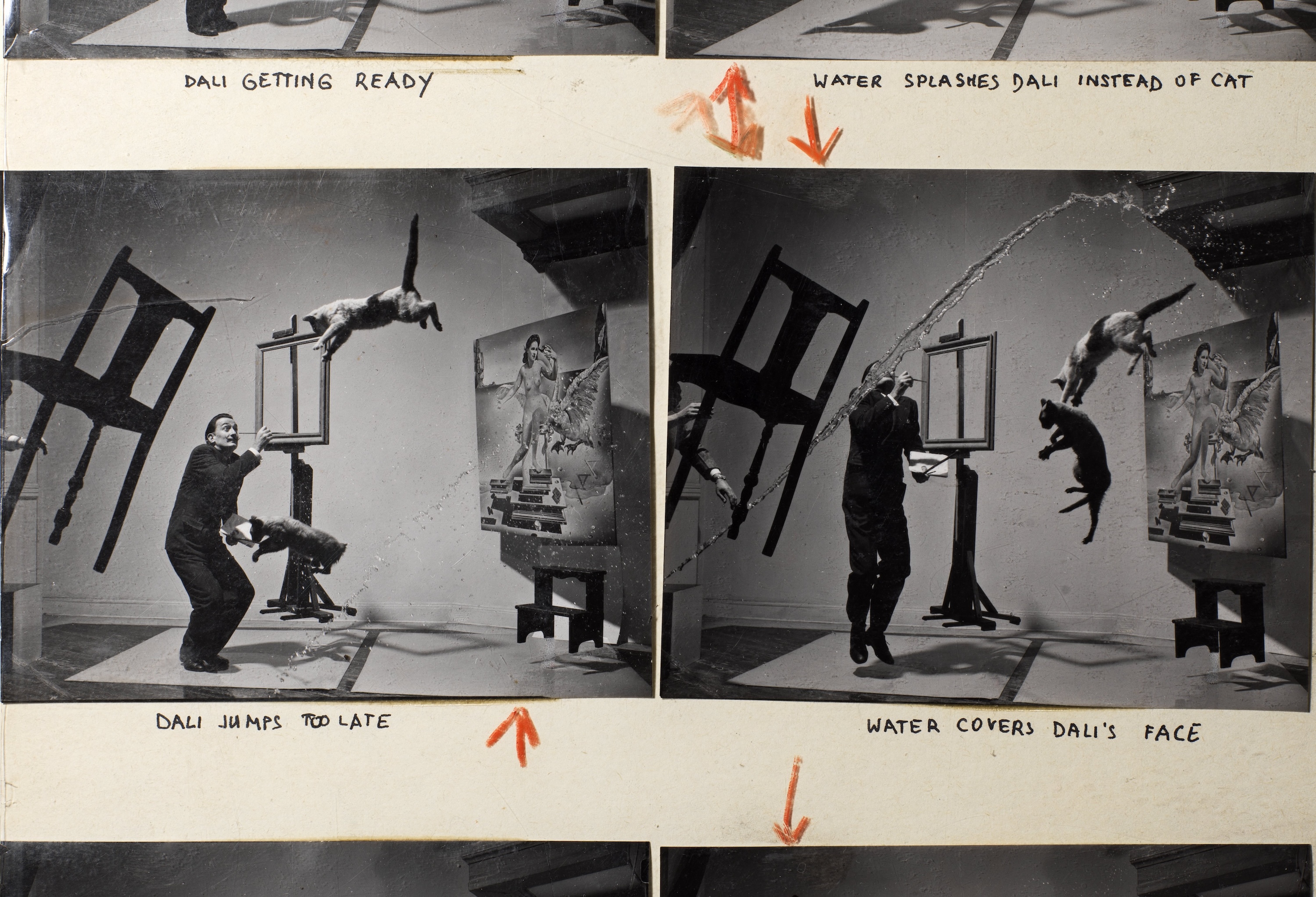 Collectors Item How Philippe Halsman Befriended Salvador Dalí